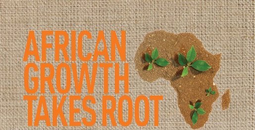 Ensuring Africa’s growth | The Habari Network