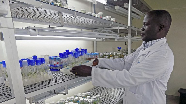 Africa: Mentoring can sustain the gains being made to retain African ...