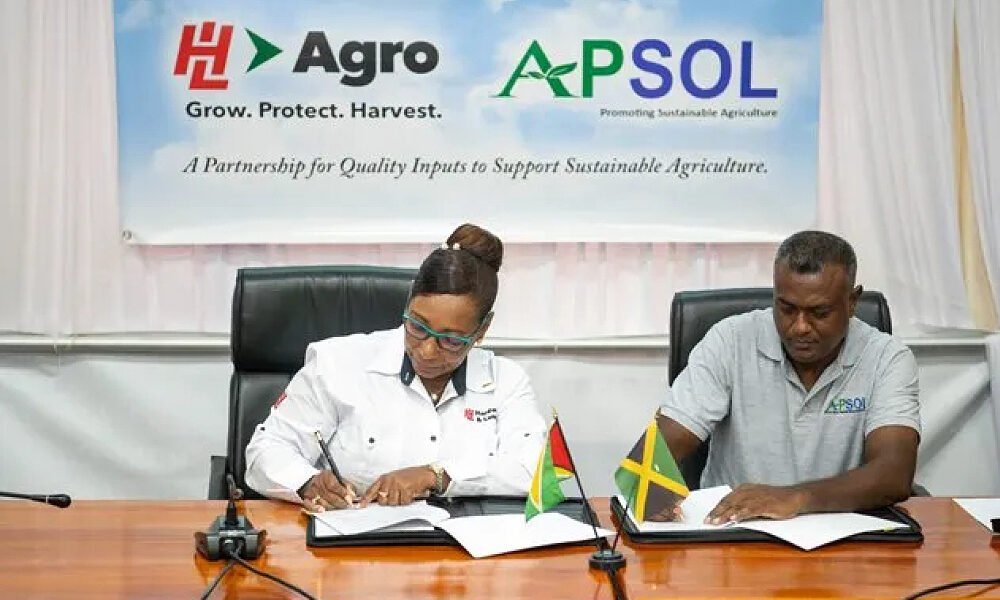 Jamaica's H&L Agro signs partnership agreement with Guyana's APSOL at Caribbean Agri-Investment ...
