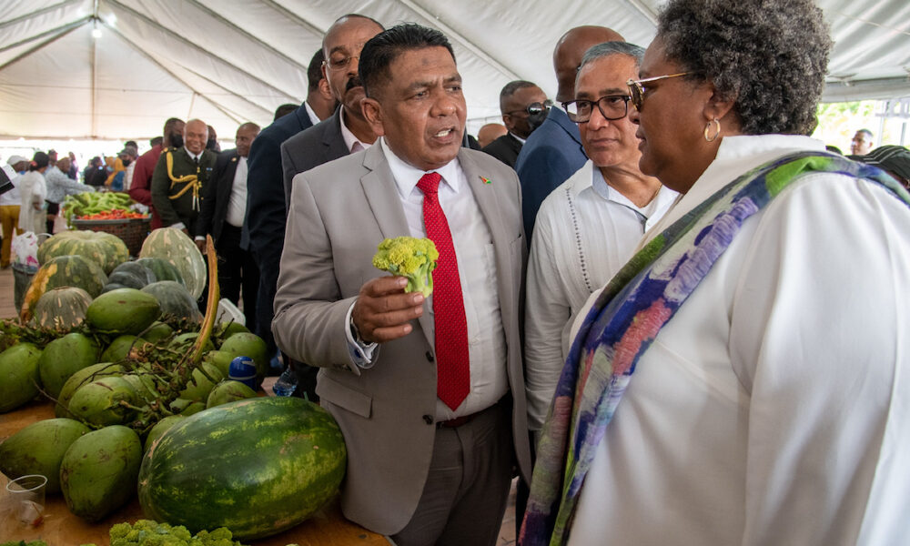 Strengthening Caribbean Food Security: The Role of the Barbados-Guyana ...