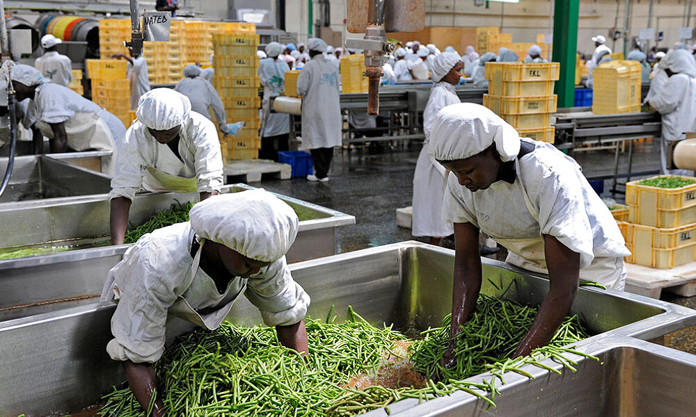 How Special Agro-Industrial Processing Zones Are Transforming Rural Africa's Agricultural ...