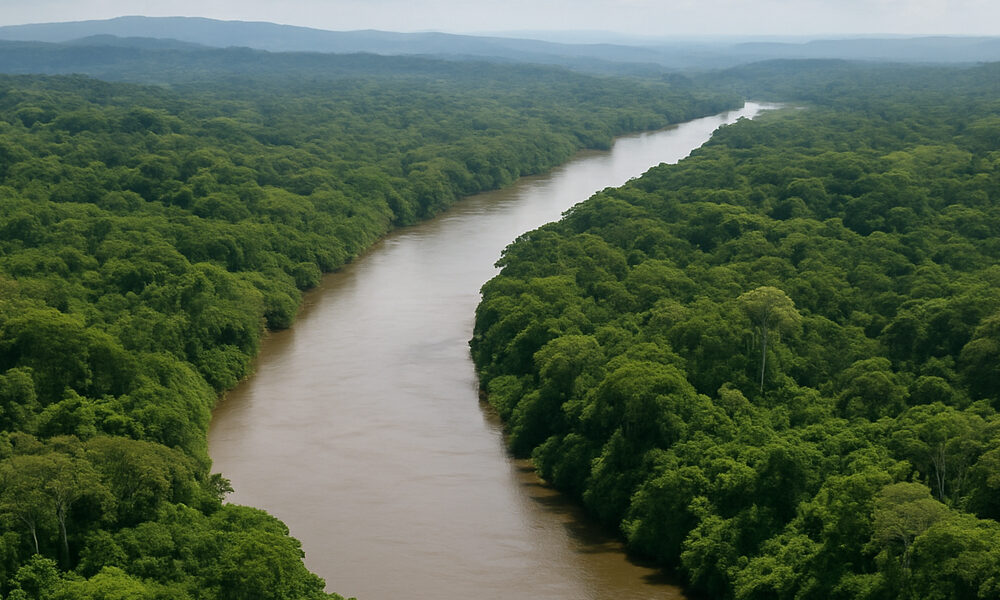 The Congo River: Africa’s Untapped Water Powerhouse and Key to Regional ...